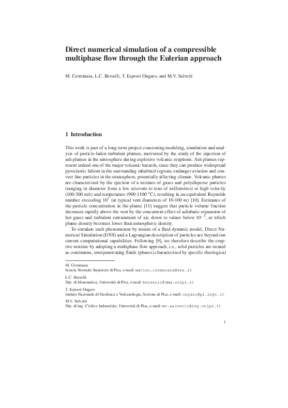 Pdf Direct Numerical Simulation Of A Compressible Multiphase Flow Through The Eulerian Approach