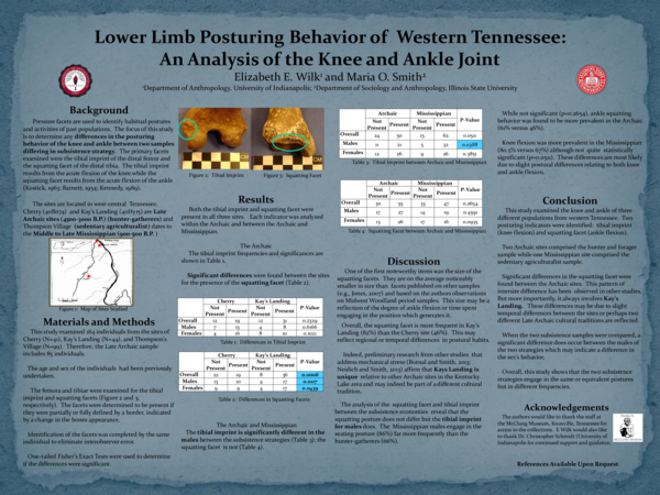 (PDF) Lower Limb Posturing Behavior of Western Tennessee: An Analysis ...