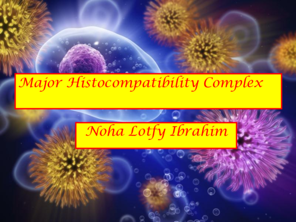 (PPT) Major Histocompatibility Complex | Noha L. Ibrahim - Academia.edu