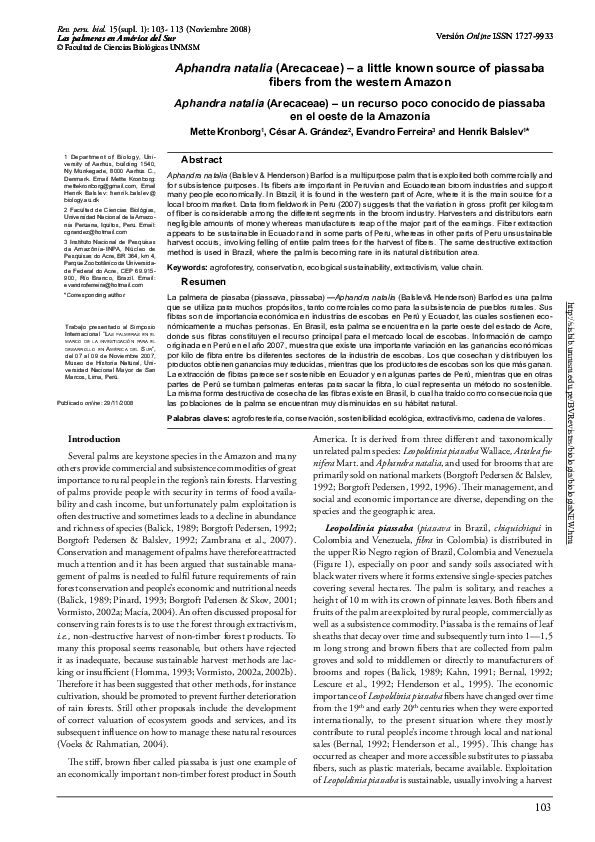(PDF) Aphandra natalia (Arecaceae) - a little known source of piassaba ...