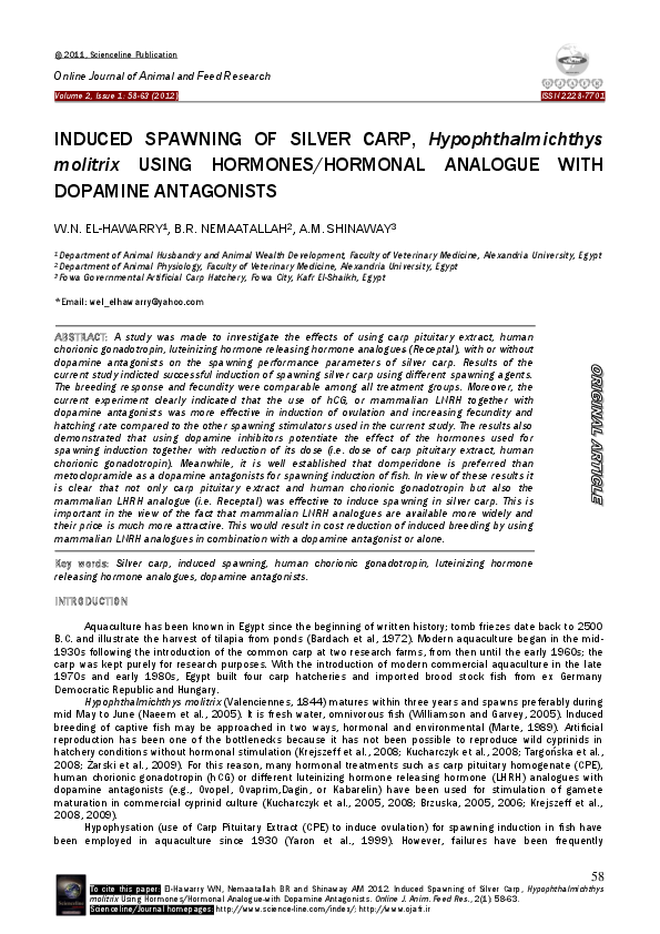 (PDF) INDUCED SPAWNING OF SILVER CARP, Hypophthalmichthys molitrix ...