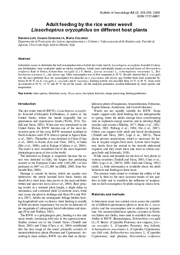 (PDF) Adult feeding by the rice water weevil Lissorhoptrus oryzophilus ...