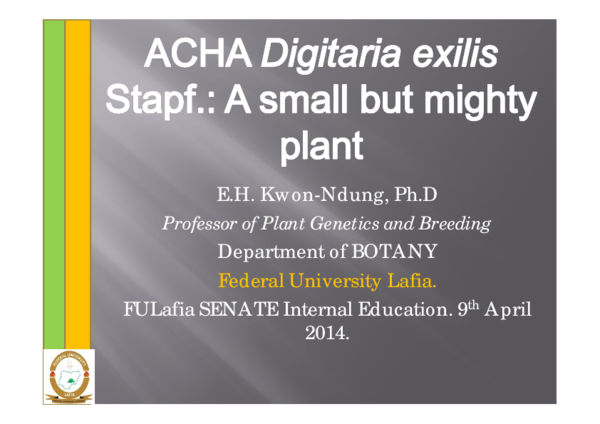 Acha Digitaria exilis Kippis Stapf. : A small but mighty plant by E.H ...