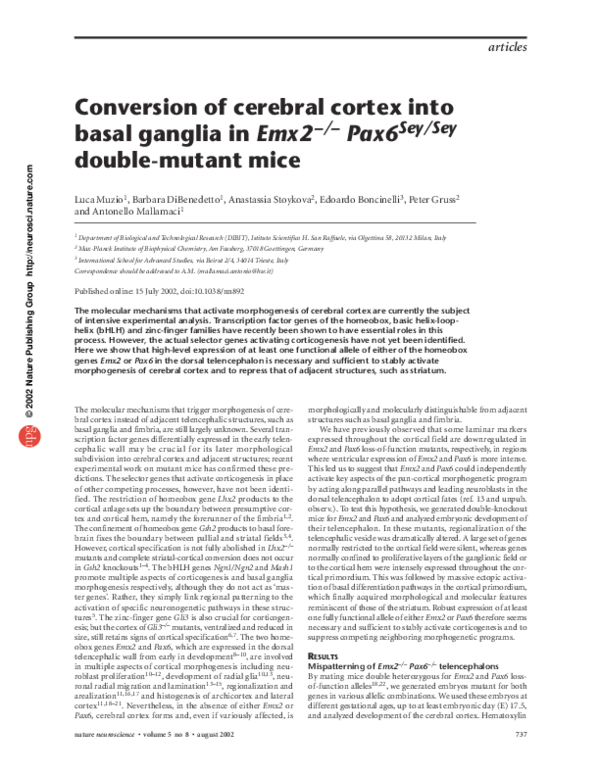 (PDF) Conversion of cerebral cortex into basal ganglia in Emx2 ...