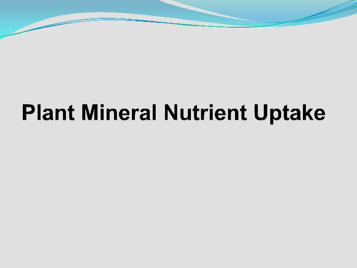 (PDF) Plant Mineral Nutrient Uptake