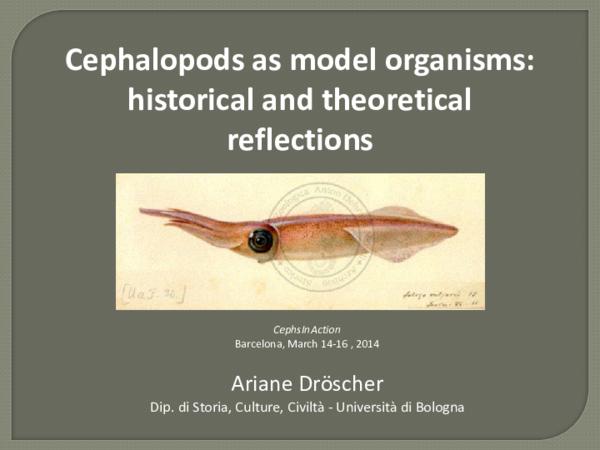 (PDF) Cephalopods as model organisms: historical and theoretical reflections. Held at meeting ...