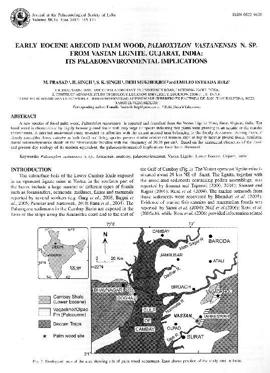 (PDF) Early Eocene arecoid fossil palm wood, Palmoxylon vastanensis sp ...