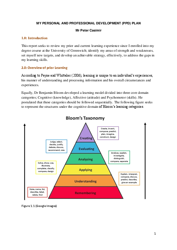 (PDF) MY PERSONAL AND PROFESSIONAL DEVELOPMENT (PPD) PLAN