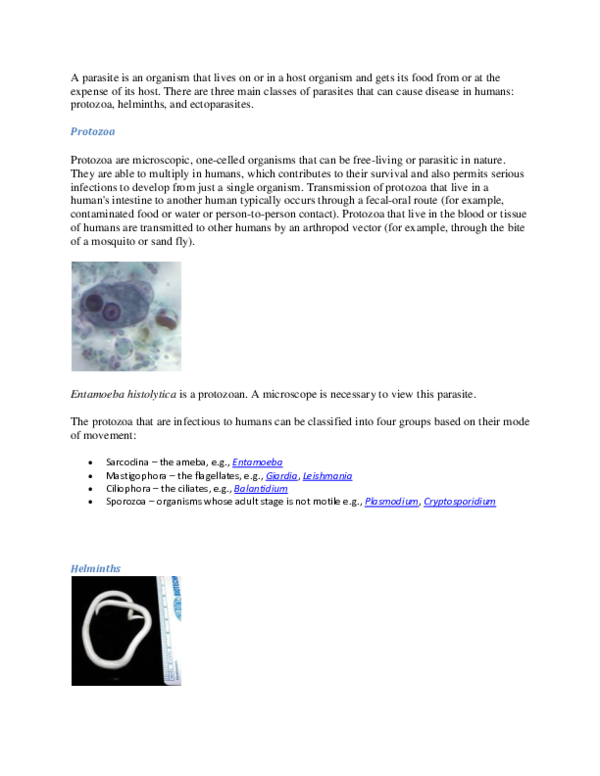 (DOC) Parasitology notes - I M Sc BT