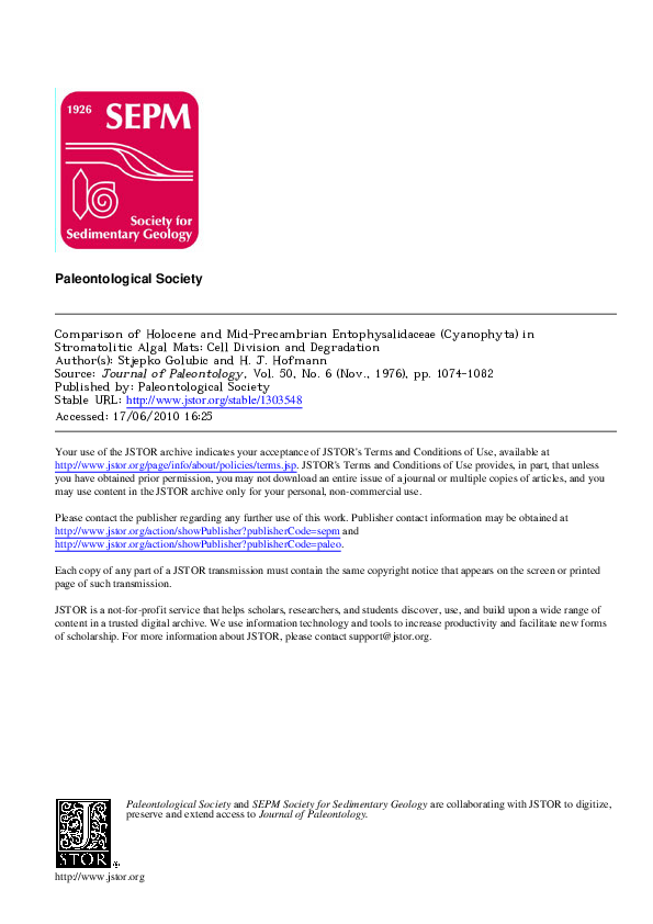 (PDF) Comparison of Holocene and Mid-Precambrian Entophysalidaceae ...
