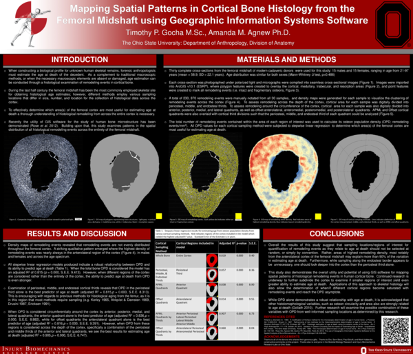 (PDF) GIS Analysis of Cortical Bone Histology Patterns