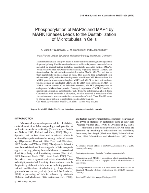 (PDF) Phosphorylation of MAP2c and MAP4 by MARK kinases leads to the ...