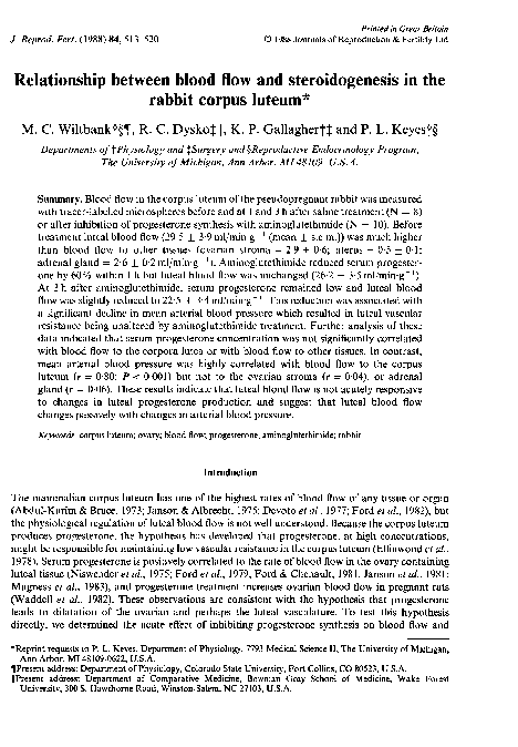 (PDF) Relationship between blood flow and steroidogenesis in the rabbit ...