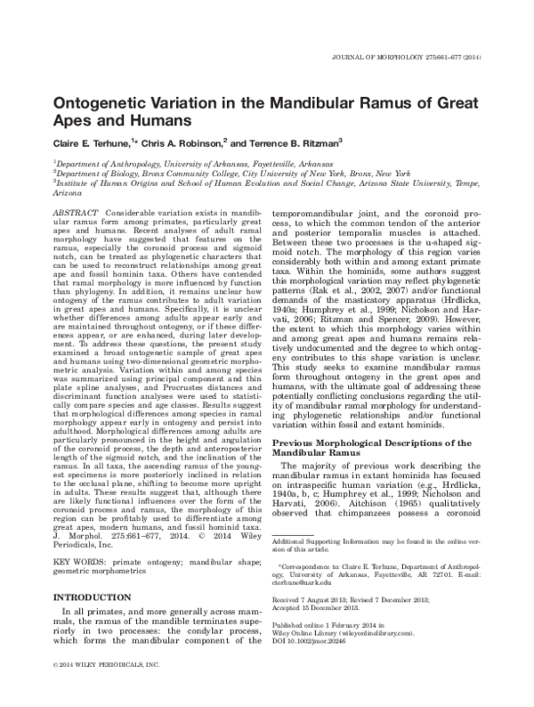 (PDF) Ontogenetic variation in the mandibular ramus of great apes and ...