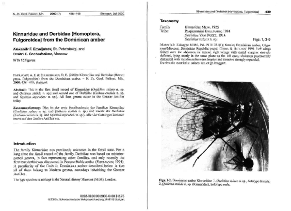 (PDF) AF Emeljanov, DE Shcherbakov. Kinnaridae and Derbidae (Homoptera ...