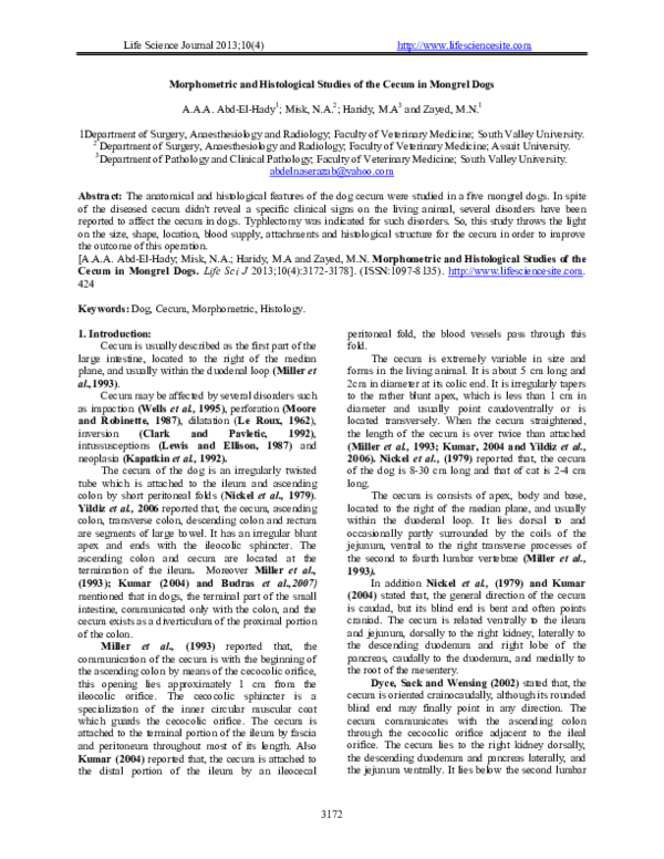 (PDF) Morphometric and Histological Studies of the Cecum in Mongrel Dogs
