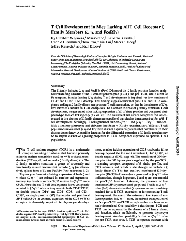 (PDF) T Cell Development in Mice Lacking All T Cell Receptor z Family ...