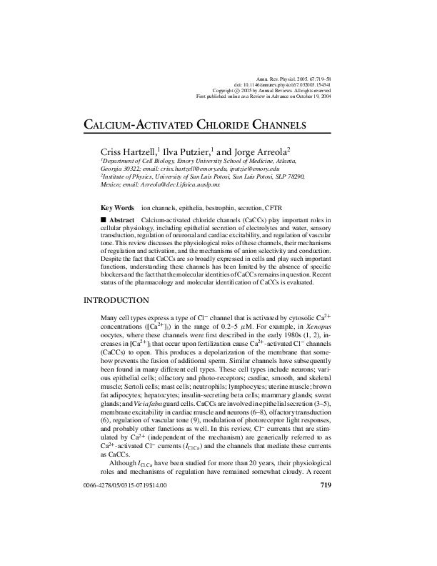(PDF) CALCIUM-ACTIVATED CHLORIDE CHANNELS