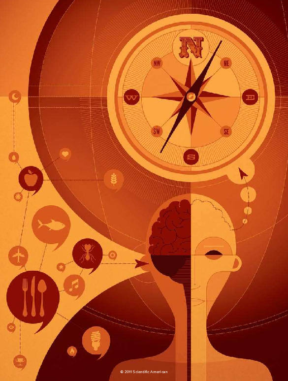 (PDF) How Language Shapes Thought