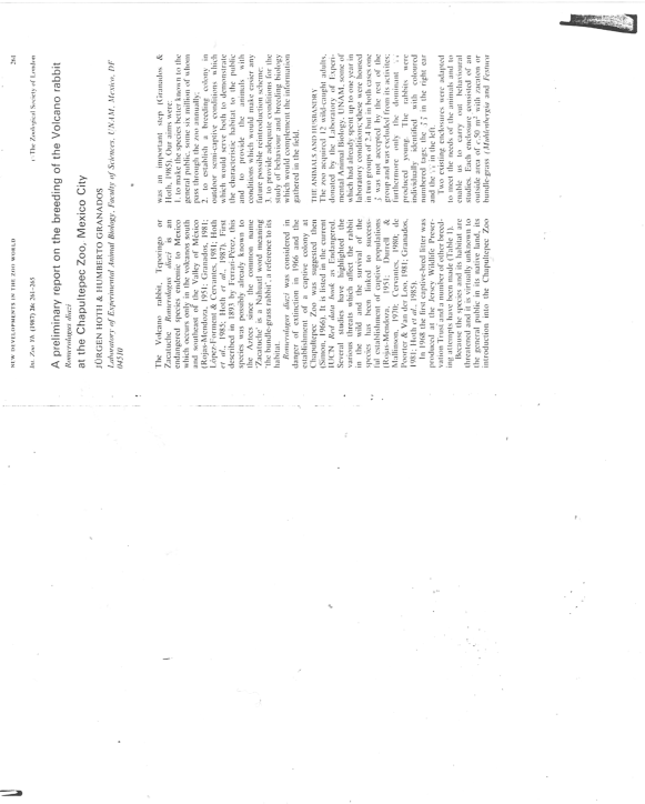 (PDF) A preliminary report of the breeding of the Volcano rabbit ...