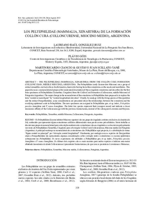 (PDF) Los Peltephilidae (Mammalia, Xenarthra) de la Formación Collón ...