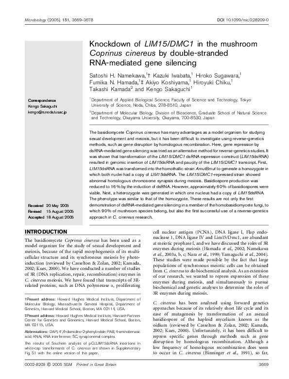 (PDF) RNA Silencing of LIM15/DMC1 in Coprinus cinereus