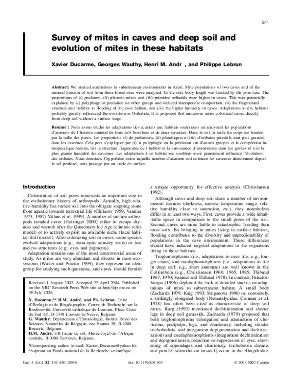 (PDF) Survey of mites in caves and deep soil and evolution of mites in ...