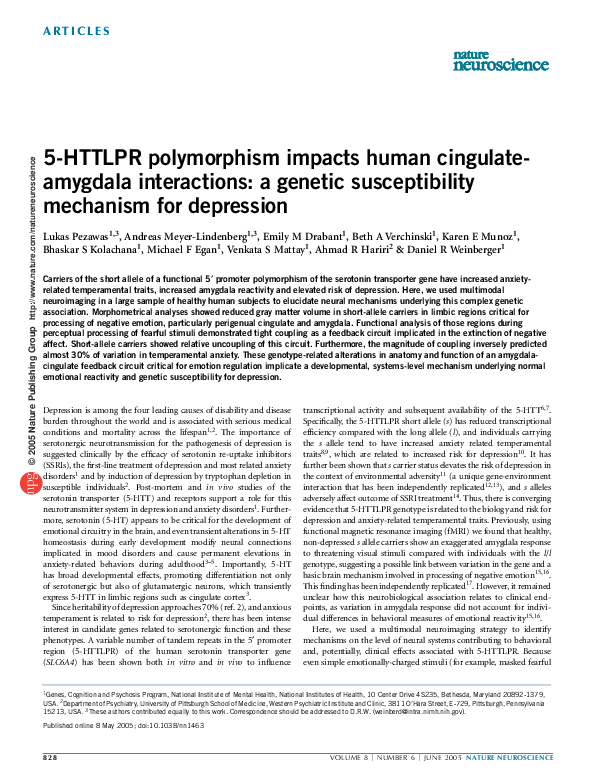 (PDF) 5-HTTLPR polymorphism impacts human cingulate-amygdala ...