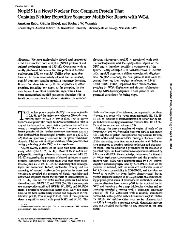 (PDF) Nup155 is a novel nuclear pore complex protein that contains ...