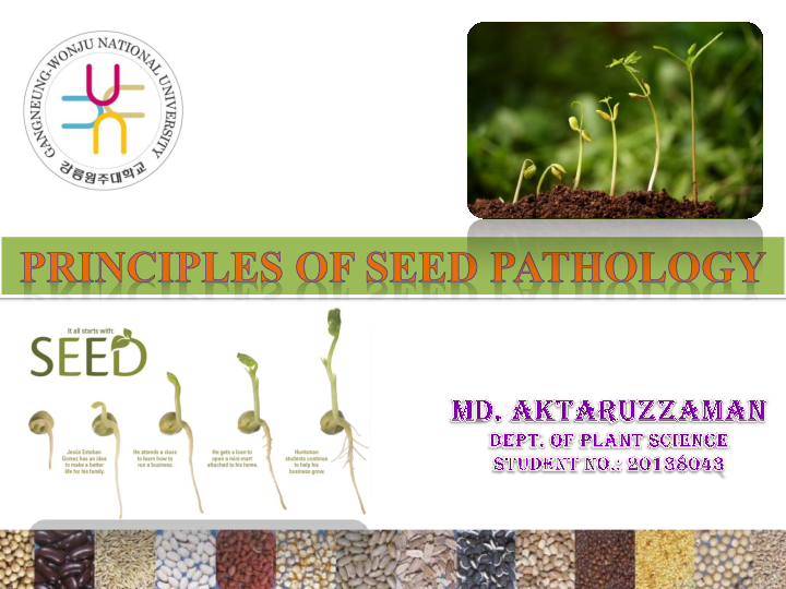 Principles of Seed Pathology