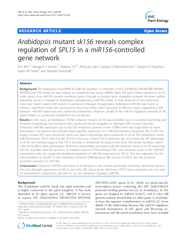 (PDF) R Arabidopsis mutant sk156 reveals complex regulation of SPL15 in ...