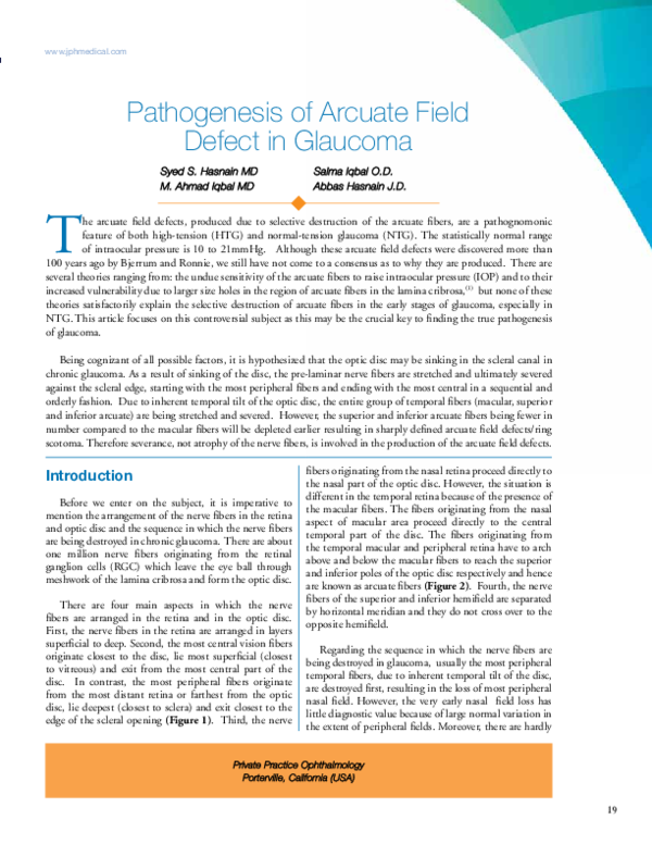 (PDF) Pathogenesis of arcuate field defects?