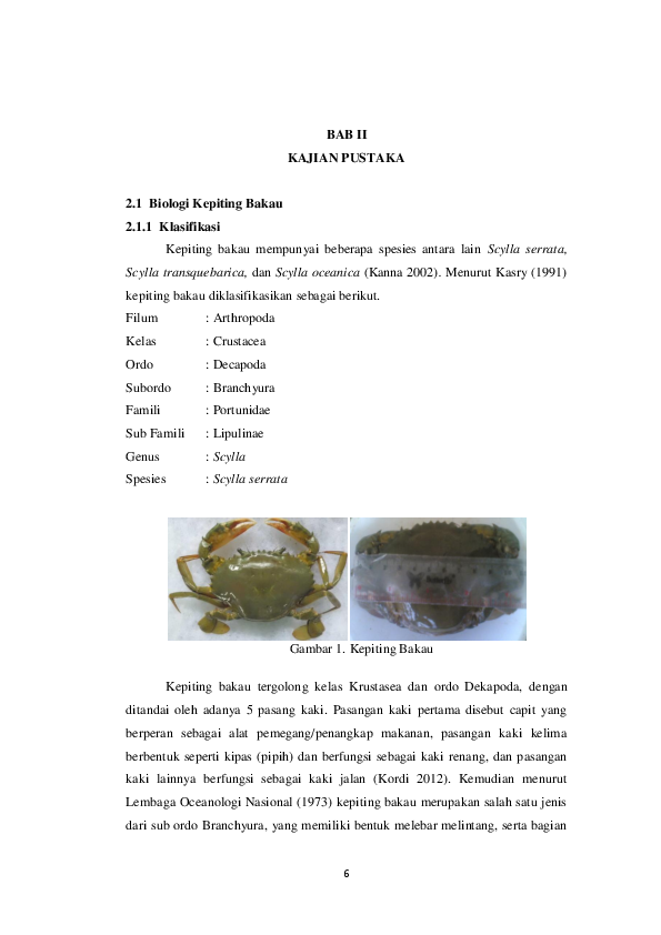 (PDF) Filum : Arthropoda Kelas : Crustacea Ordo : Decapoda Subordo ...