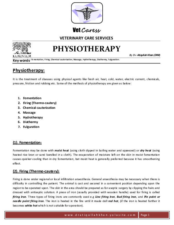 (PDF) Physio Therapy