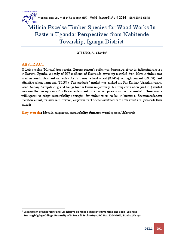 Milicia Excelsa Timber Species for Wood Works In Eastern Uganda ...