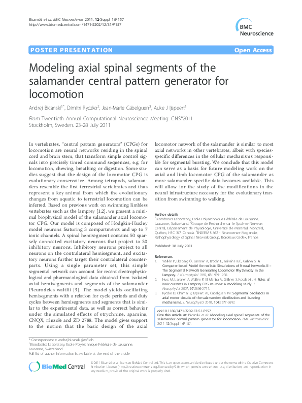 (PDF) Modeling axial spinal segments of the salamander central pattern ...