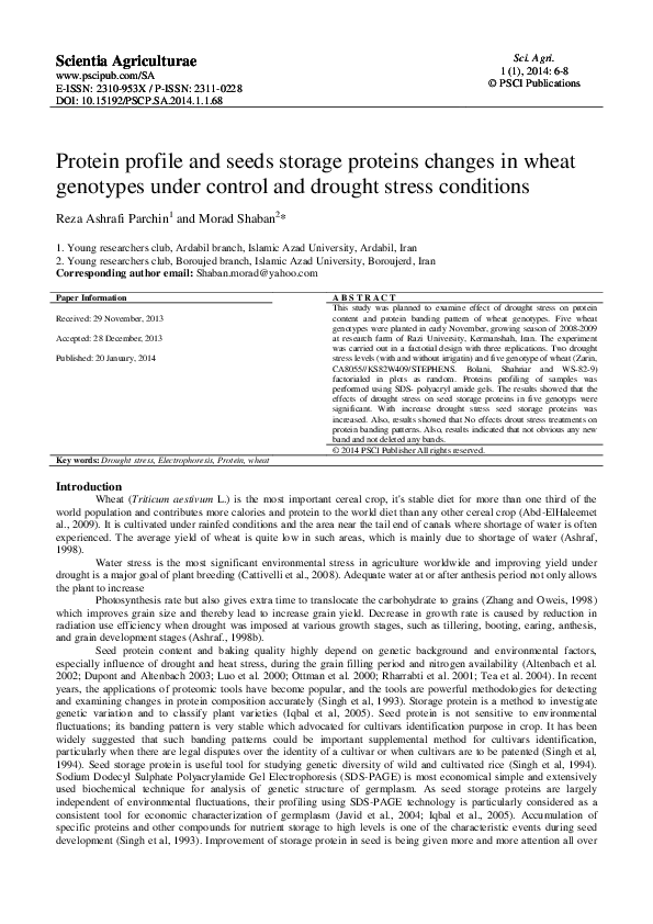 (PDF) Protein profile and seeds storage proteins changes in wheat ...