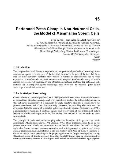 (PDF) Chapter Perforated Patch-Clamp