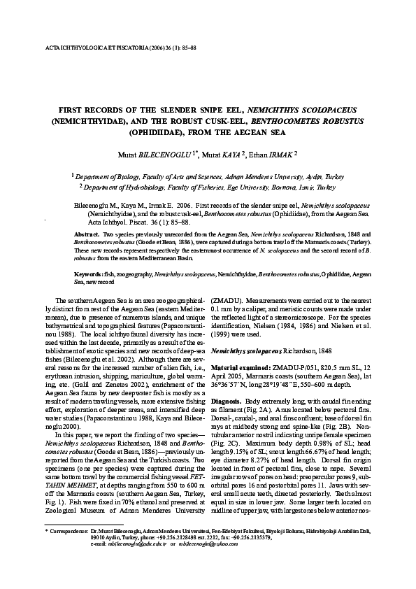 (PDF) FIRST RECORDS OF THE SLENDER SNIPE EEL, NEMICHTHYS SCOLOPACEUS ...