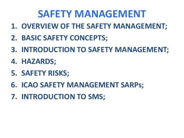 (PPT) SMM PRESENTATION