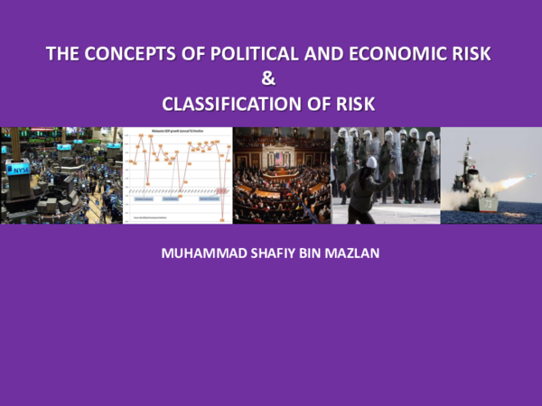 (PDF) Political Analysis and Economic Risks: The Concept and ...