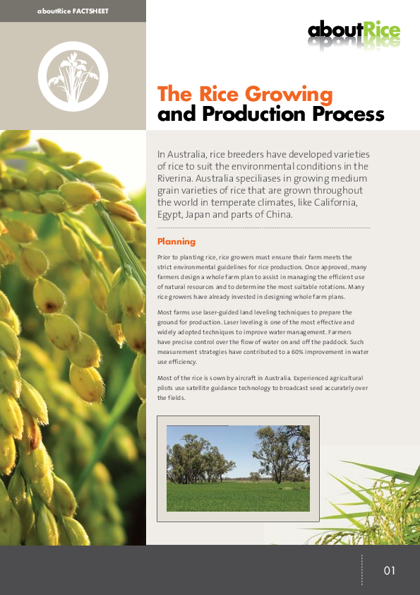 (PDF) Rice growing