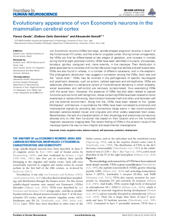 (PDF) Evolutionary appearance of von Economo's neurons in the mammalian ...