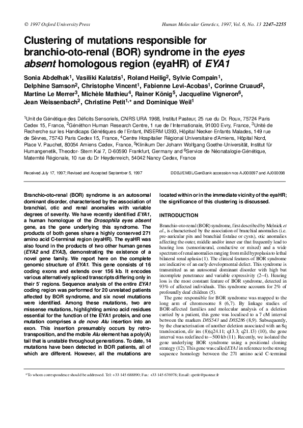 (PDF) Clustering of mutations responsible for branchio-oto-renal (BOR ...