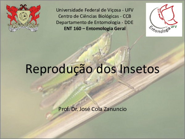 (PDF) Reprodução dos Insetos