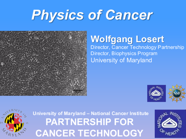(PDF) Physics of Cancer