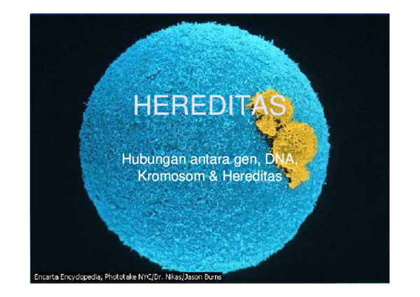 (PDF) HEREDITAS HEREDITAS