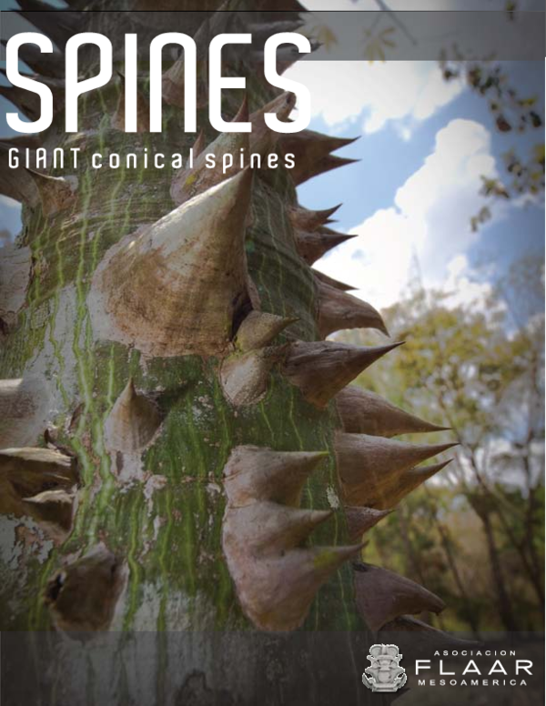 (PDF) Giant Conical Spines Giant Conical Spines