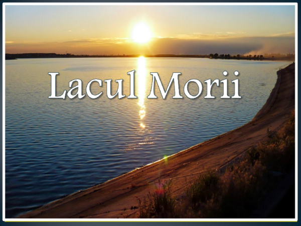 (PPT) Lacul Morii