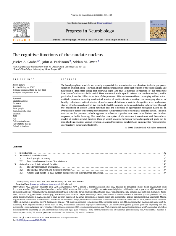 (PDF) The cognitive functions of the caudate nucleus